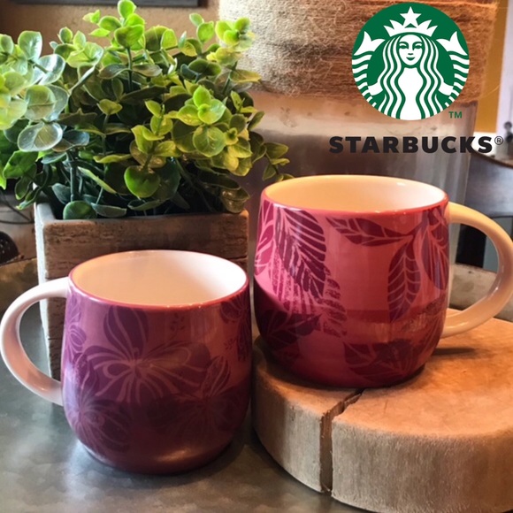 Starbucks | Kitchen | Starbucks Mug Set | Poshmark
